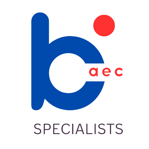 General SAP Support | BAEC Specialists